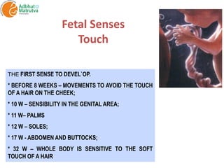 Fetal Psychology | PDF