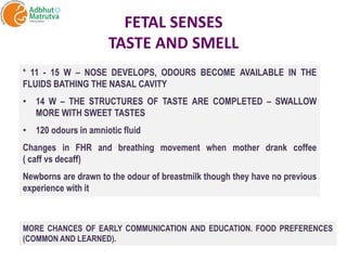 Fetal Psychology | PDF