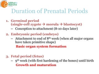 Fetal Psychology | PPT