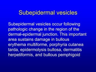 Dr Nzau Skin Lesions.ppt