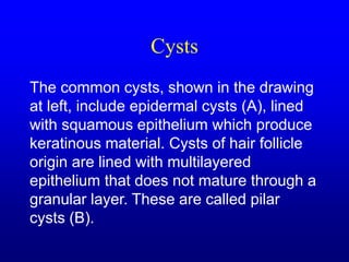 Dr Nzau Skin Lesions.ppt