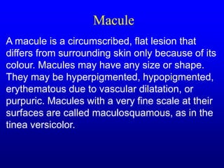 Dr Nzau Skin Lesions.ppt