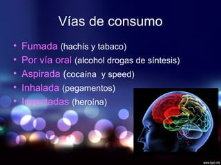 Drogas que-afectan-la-conducta | PPT
