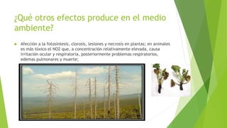Drogas de diseño y oxido nitrogeno | PPTX
