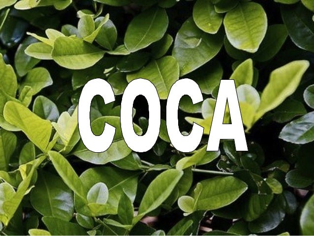 Drogas de origen natural