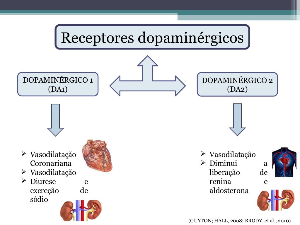Drogas Vasoativas Mapa Mental - BRAINCP