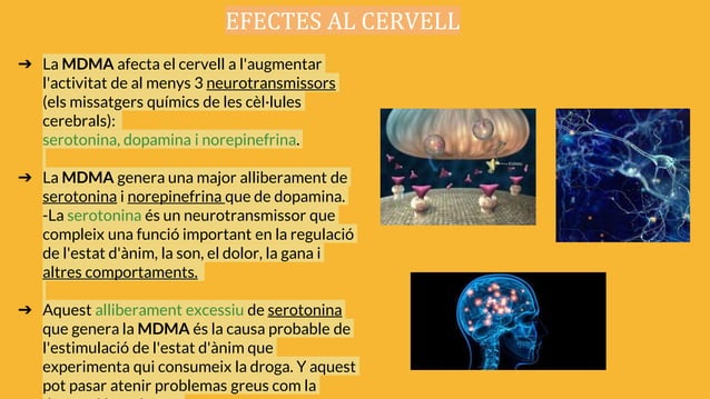 DROGUES - PROJECTE.pptx | Free Download