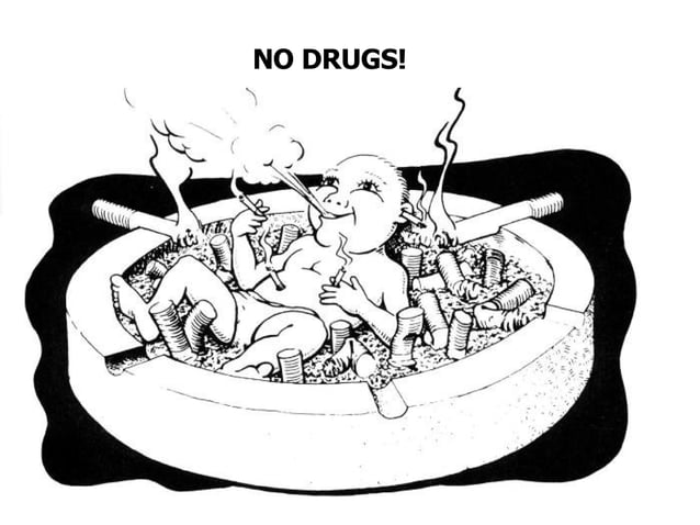 Drogul – Pericol Pentru ToţI! | PPT