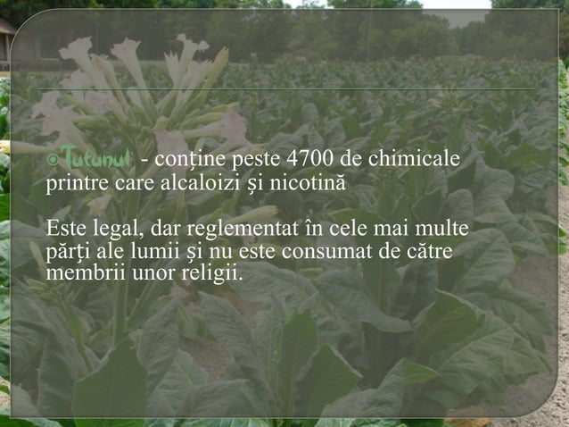 Drogurile.chimie | PPTX