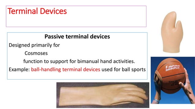 Upper Limb Prosthetics - Dr Om Prakash | PPTX | Physical Therapy | Wellness