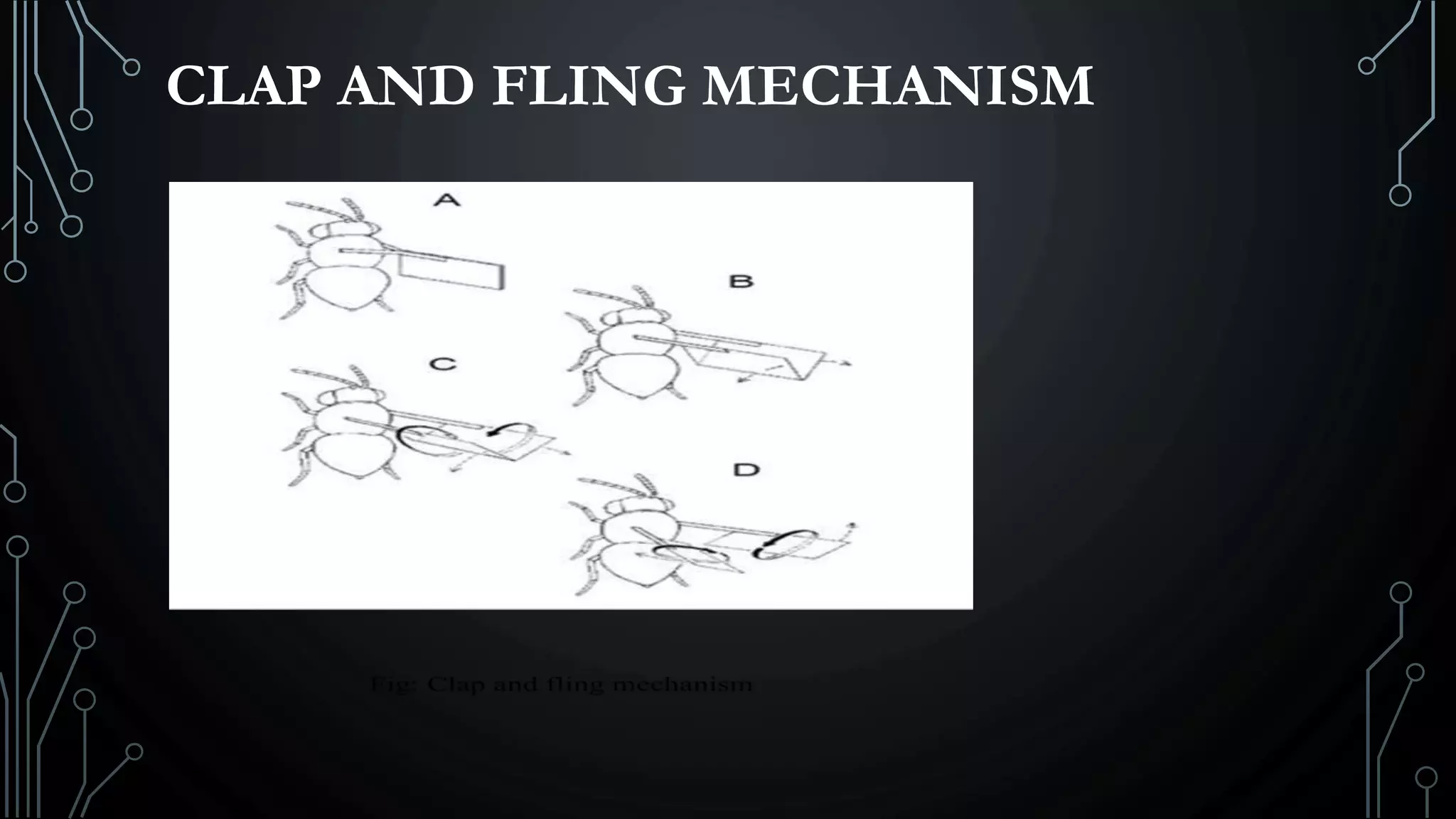 Drone.Mechanism | PPTX