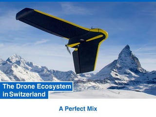 An overview of The Professional Drones Ecosystem | PDF