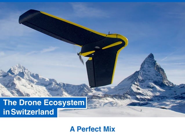 An overview of The Professional Drones Ecosystem | PDF