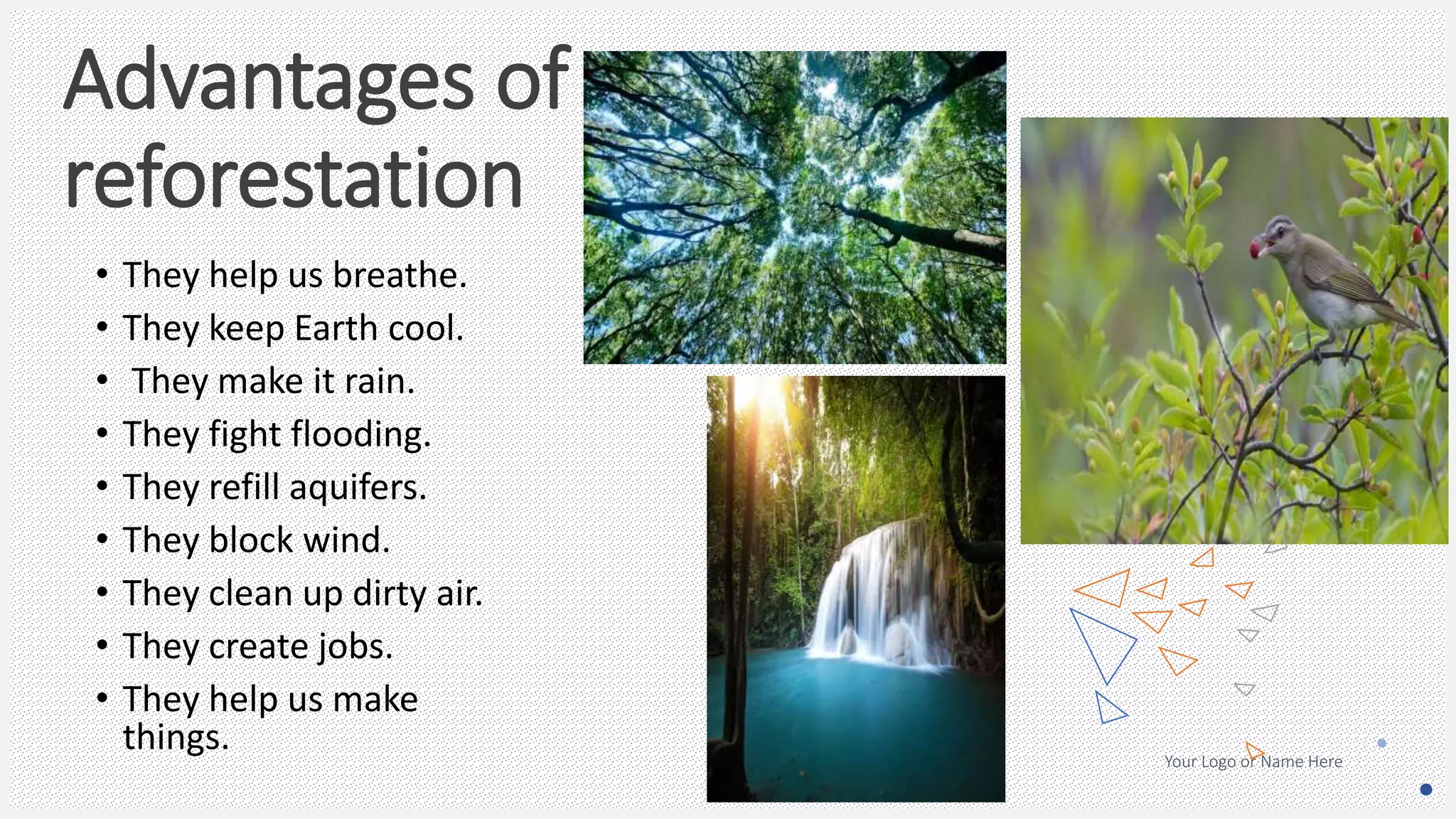 Drone for reforestation | PPTX