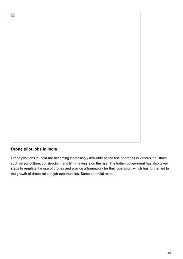 Drone Pilots Network pdf Drone Pilots Network pdf