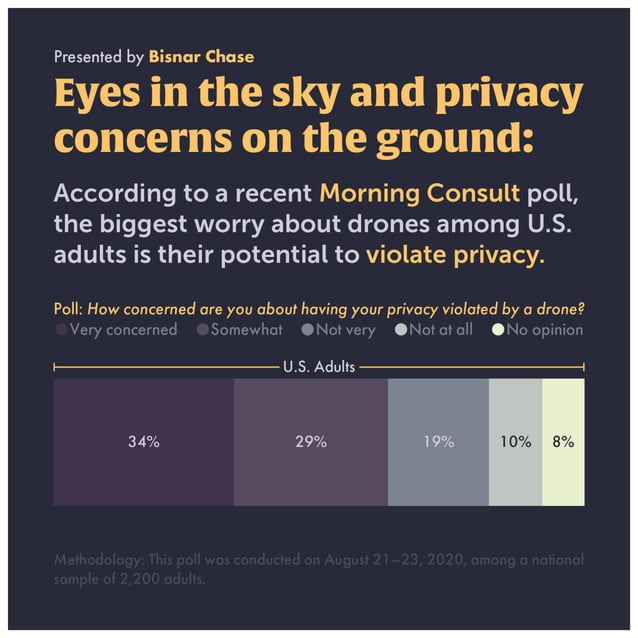 Widespread Privacy Issues Associated With Drones | PDF | Technology ...