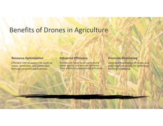 Use of Drones in Rice Production and its effects | PDF