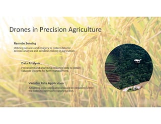 Use of Drones in Rice Production and its effects | PDF