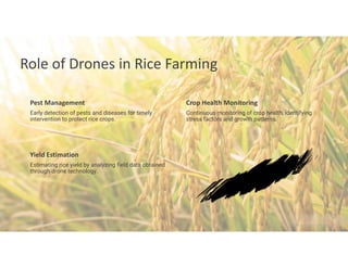 Use of Drones in Rice Production and its effects | PDF