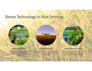 Use of Drones in Rice Production and its effects | PDF