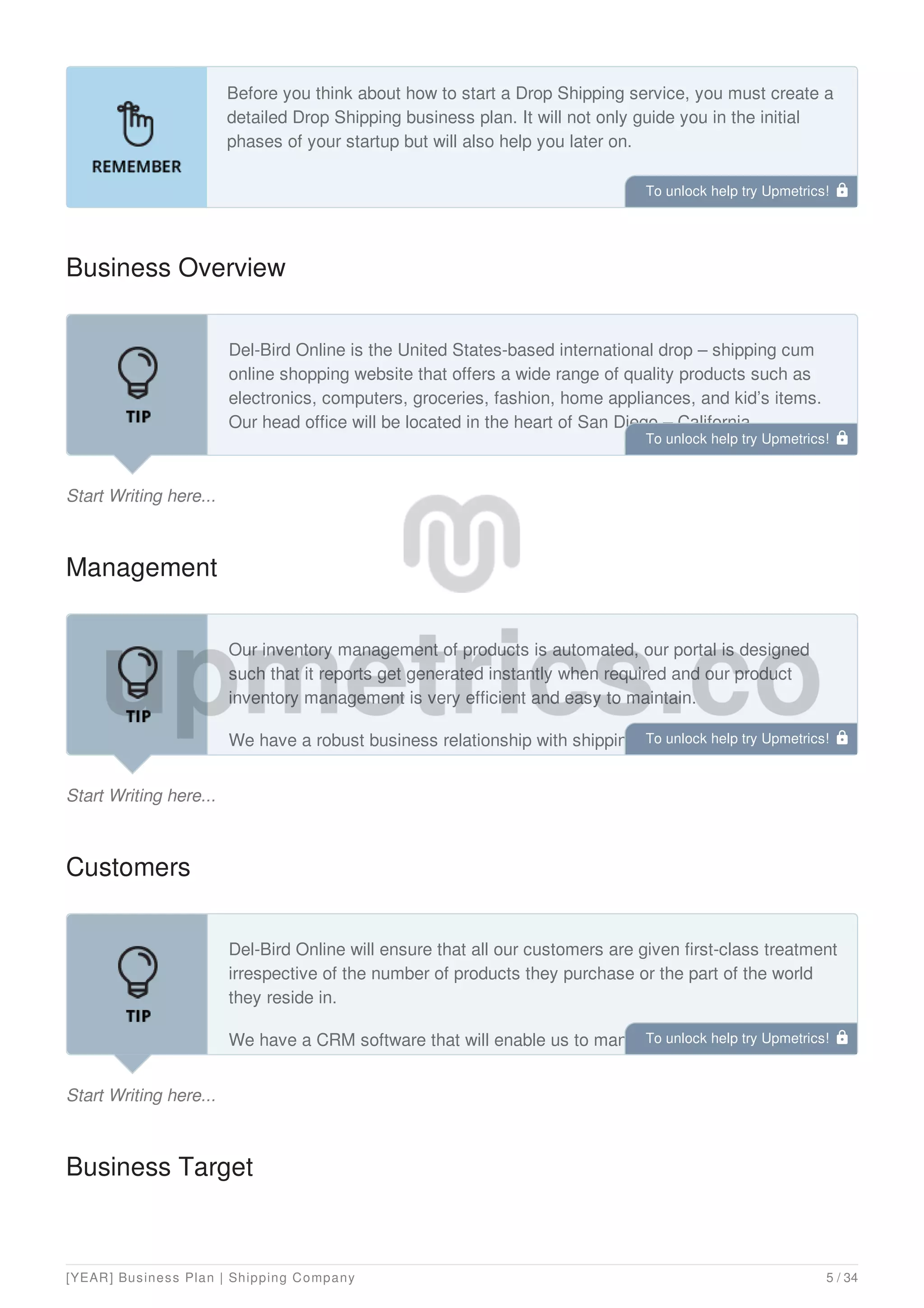 Drop Shipping Business Plan Example | PDF