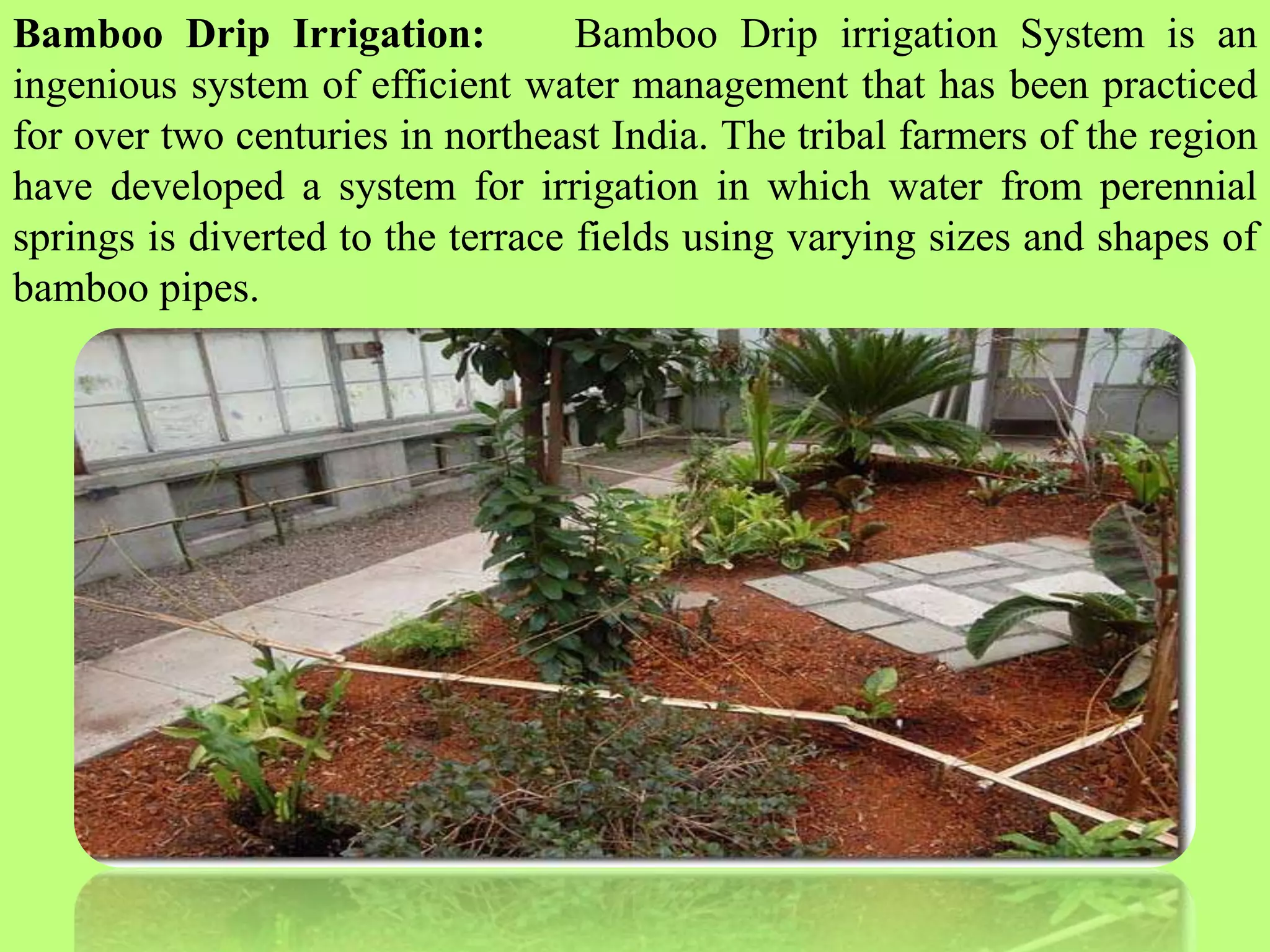 DROP BY DROP ENVIRONMENTAL STUDIES CLASS III-CBSE | PPT