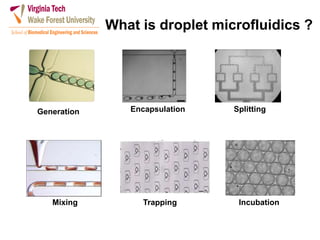 Droplet Orchestrator | PPTX