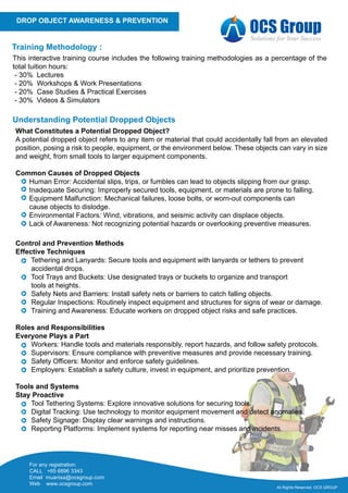 DROPPED OBJECT AWARENESS AND PREVENTION GUARDING AGAINST GRAVITY | PDF