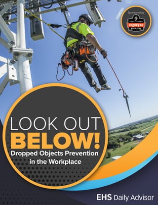 DroppedObjectsPrevention and safety requirements | PDF