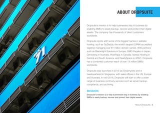 Dropsuite Brand Identity Guidelines - 2016 | PDF