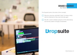 Dropsuite Brand Identity Guidelines - 2016 | PDF