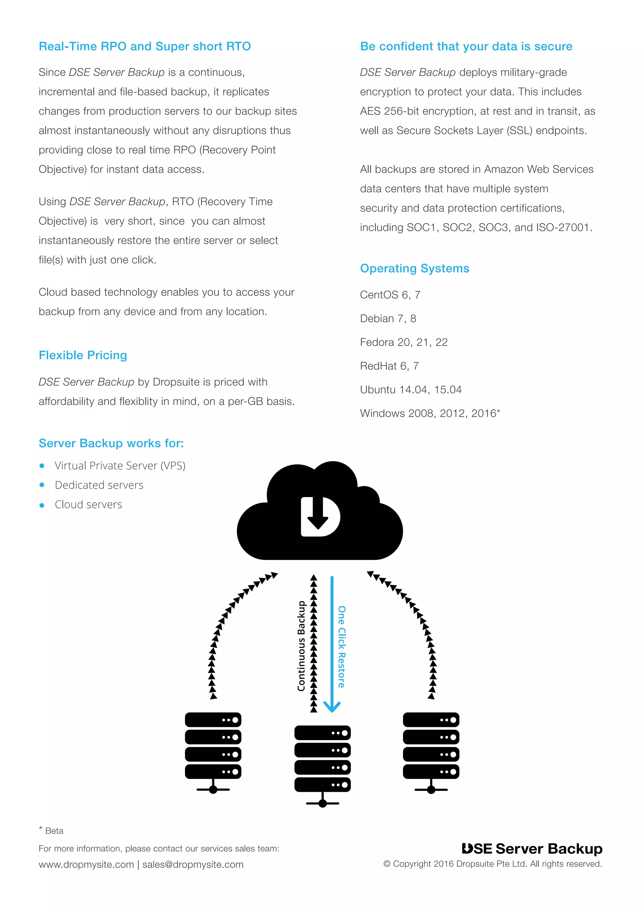Dropsuite Datasheet for DSE Server Backup | PDF