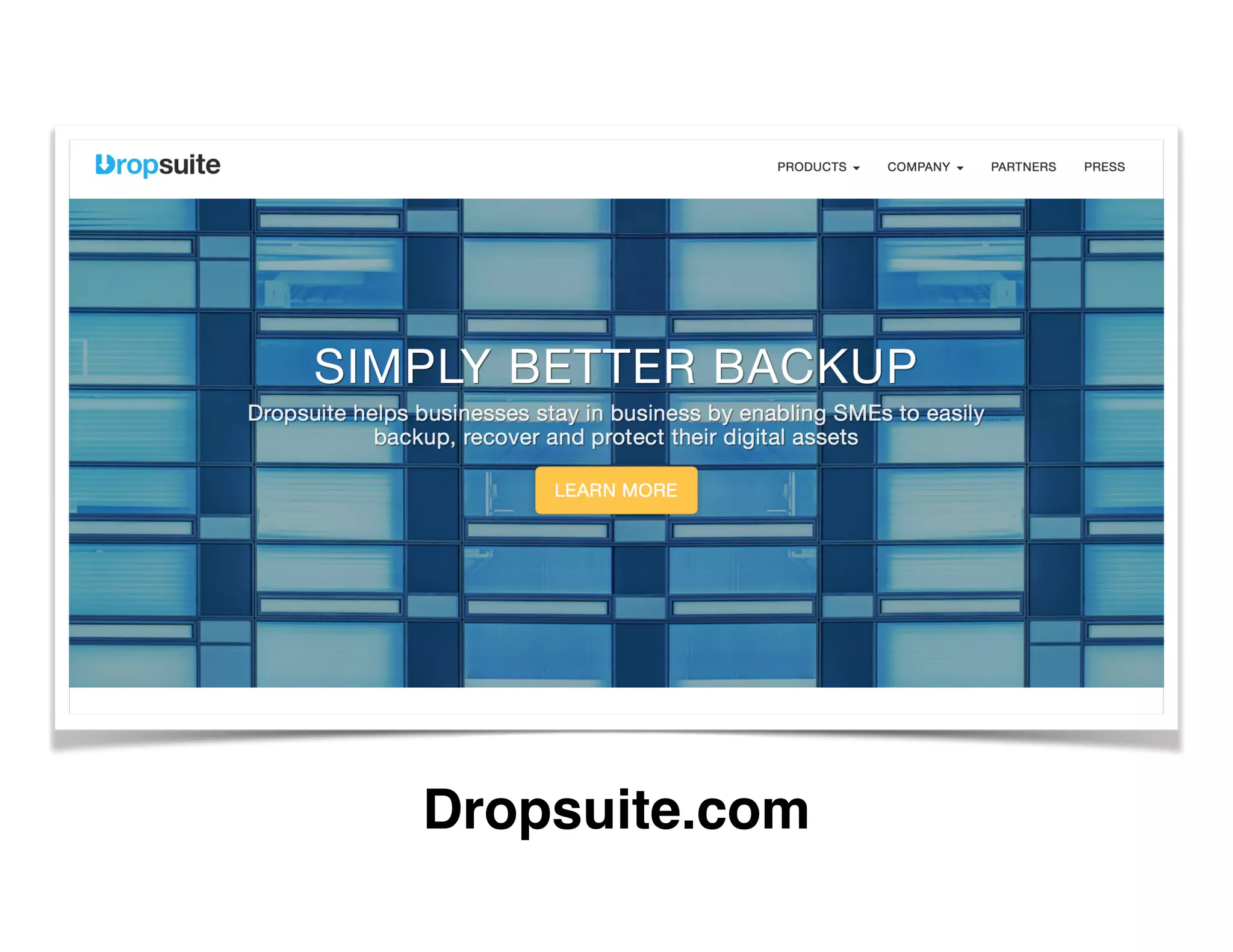 Dropsuite Demystified | PDF