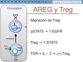 Células innatas linfoides en enfermedades alérgicas. Prof. Ortega ...