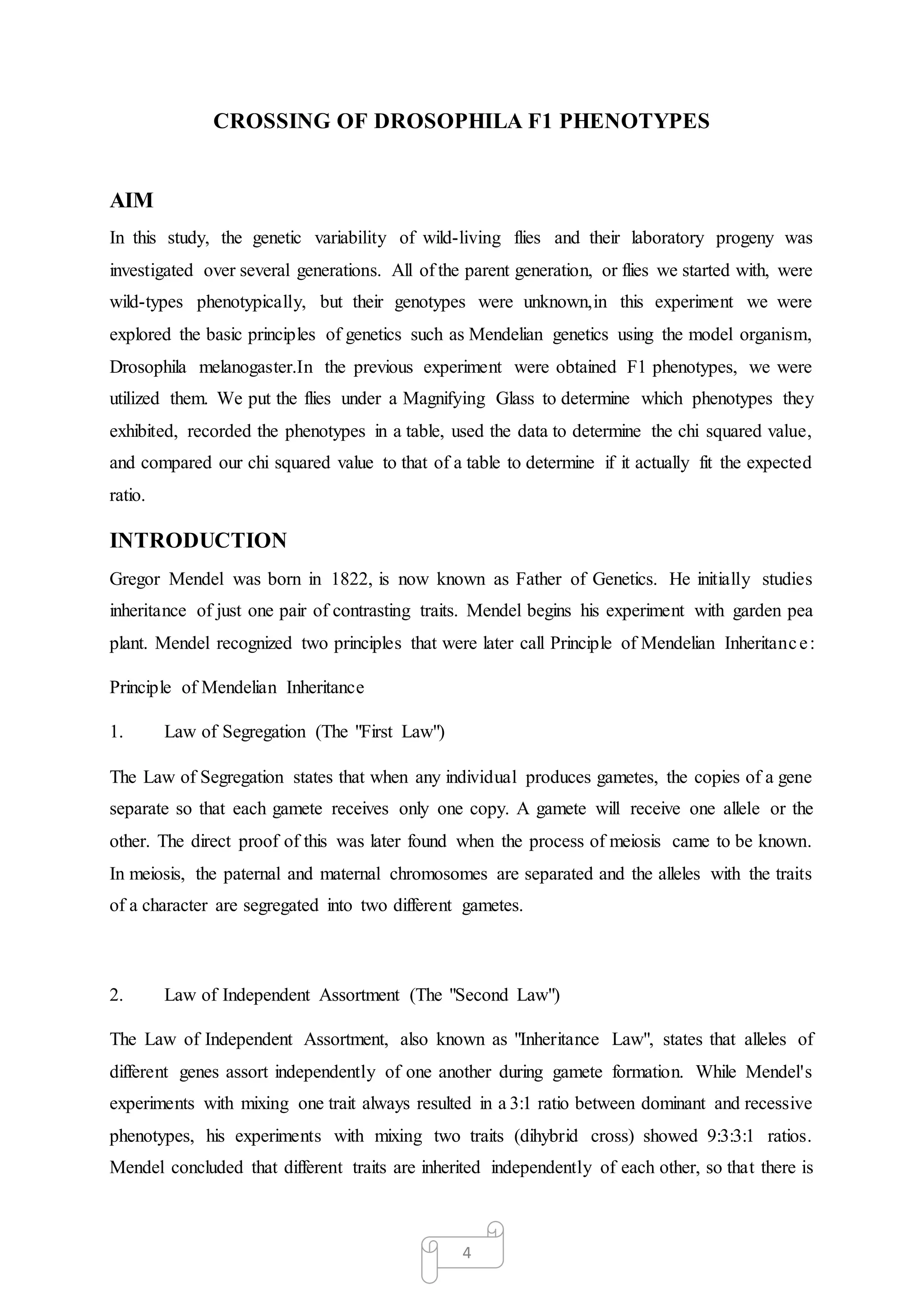 Drosophila - Laboratory Report 2 | DOCX