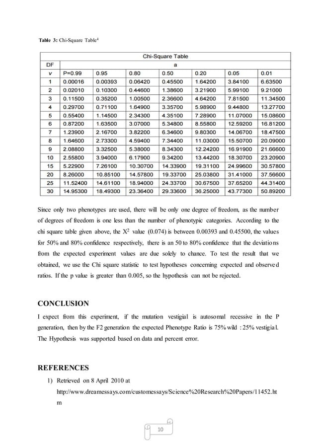 Drosophila - Laboratory Report 2 | DOCX