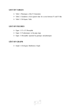 Drosophila - Laboratory Report 2 | DOCX