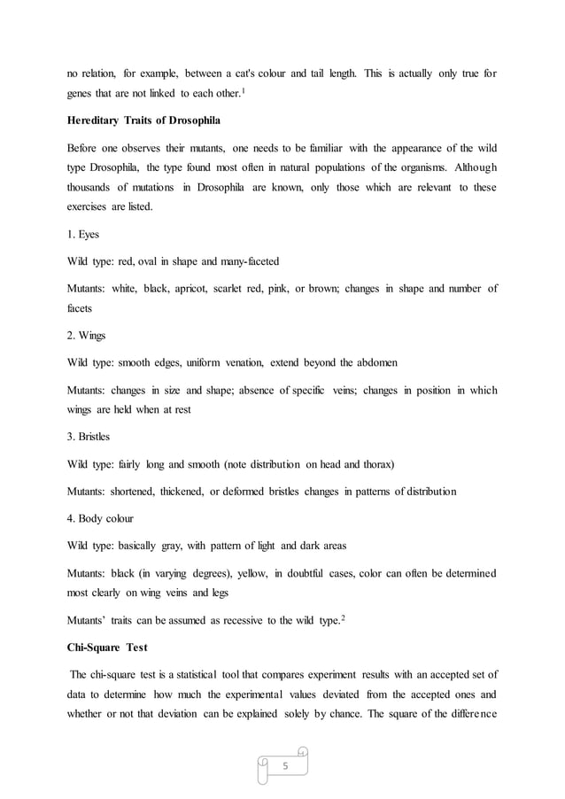 Drosophila - Laboratory Report 2 | DOCX