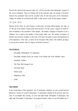 Drosophila - Laboratory Report 2 | DOCX