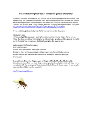 Drosophi lab genetics | DOCX