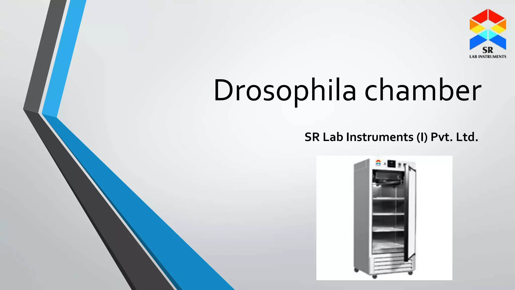 Drosophila chamber | PPT