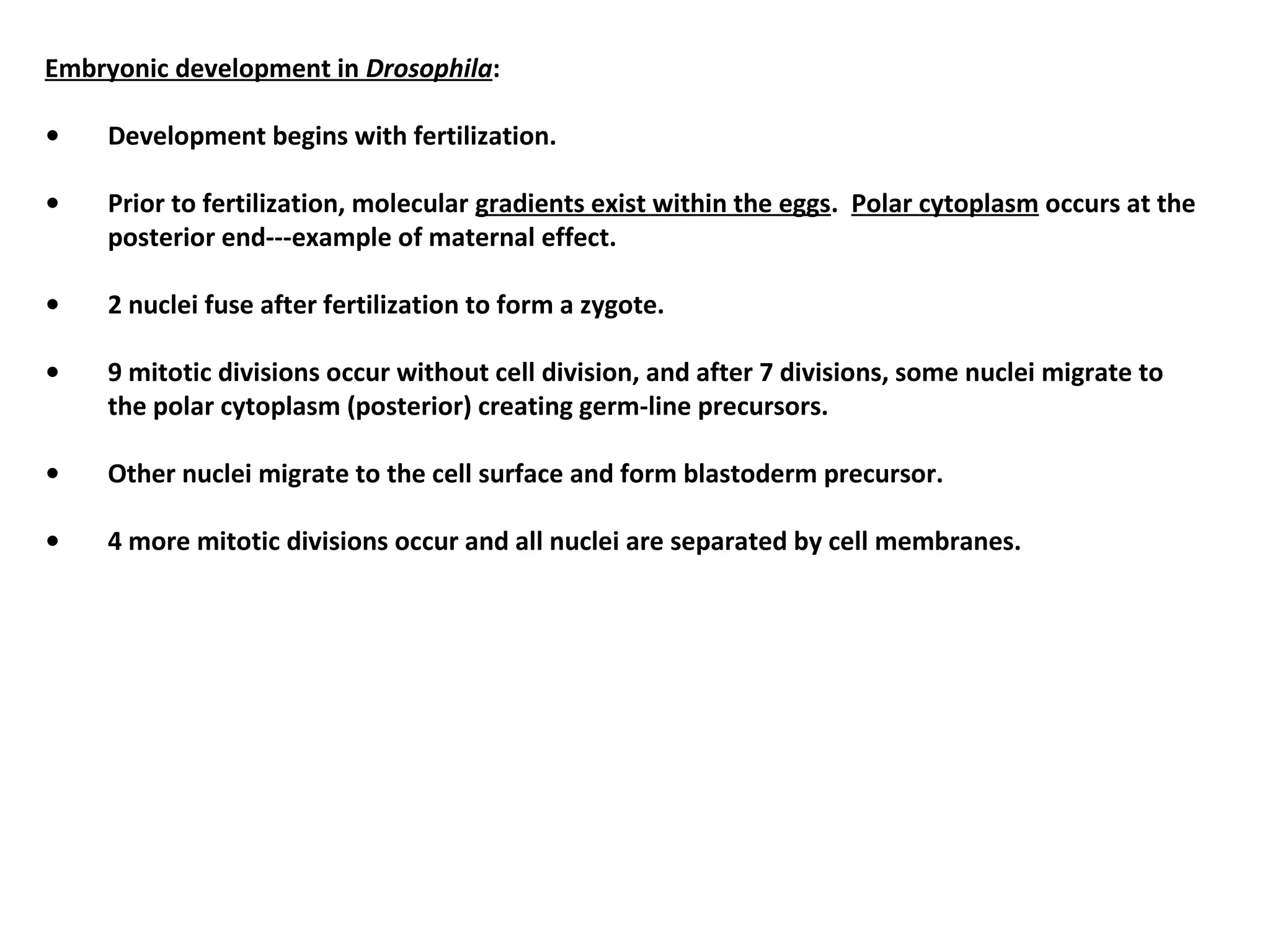 Drosophila Melanogaster Genome And its developmental process | PPT