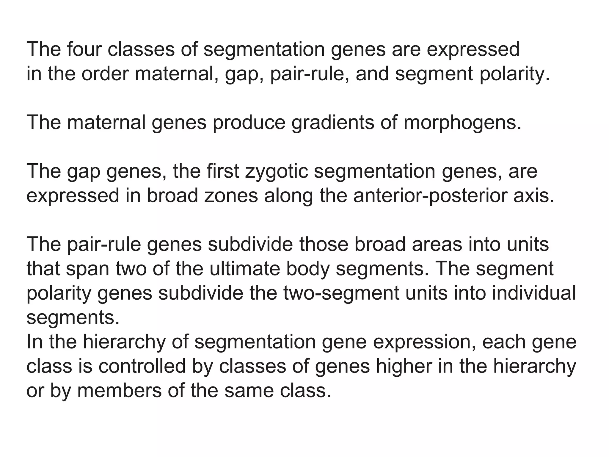 Drosophila Melanogaster Genome And its developmental process | PPT