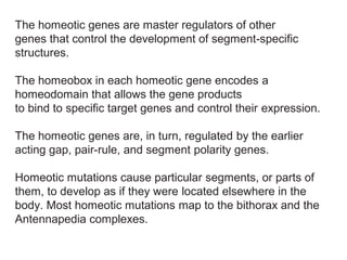 Drosophila Melanogaster Genome And its developmental process | PPT