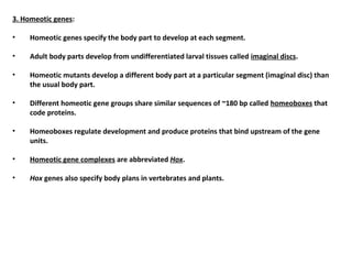 Drosophila Melanogaster Genome And its developmental process | PPT