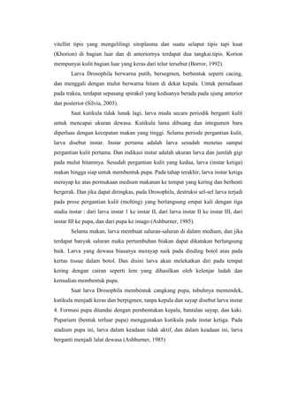 Drosophilamelanogaster | DOCX
