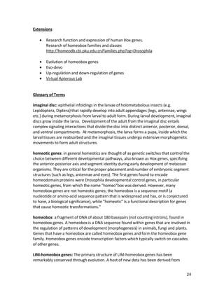 Protocol for Breeding Drosophila to Teach Homeobox Genetics and the ...