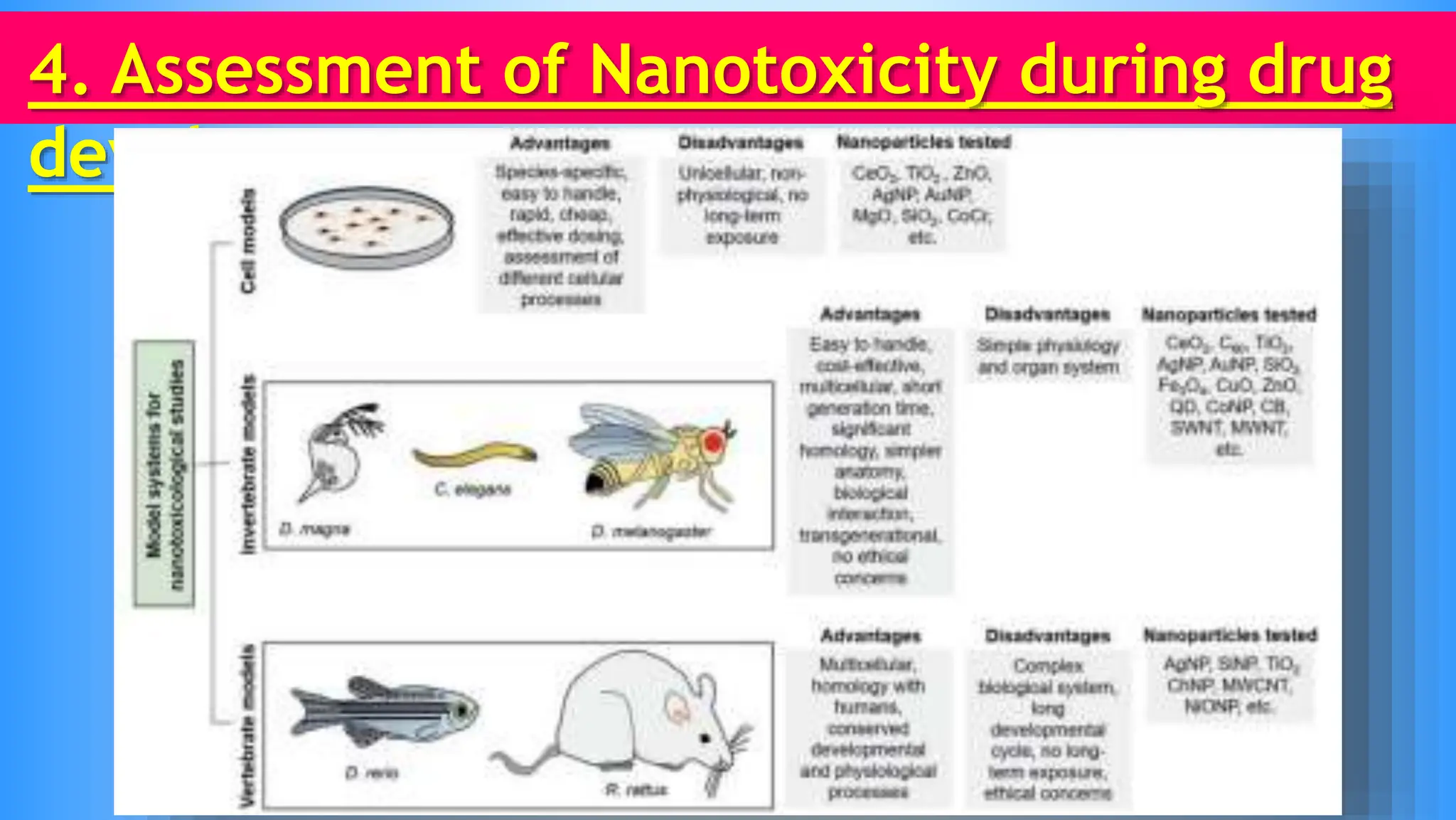 Drosophila Model for toxicity Assessment of Nanoparticle based Drug Development by Abhijit ...
