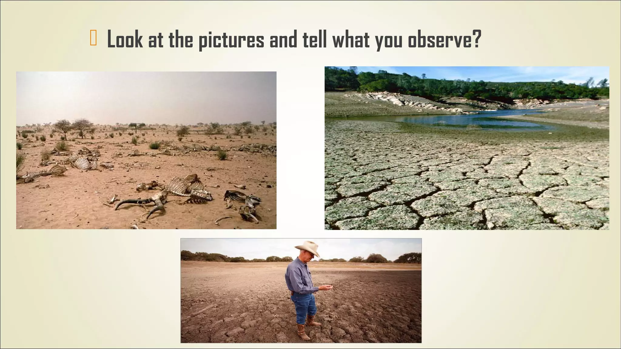 Drought | PPT