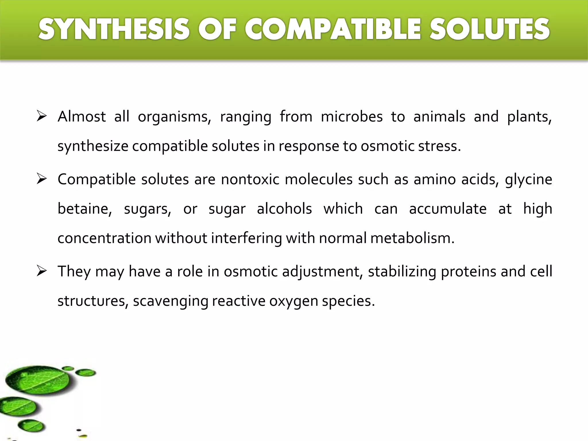 Abiotic stress responses in plants with special reference to drought | PPTX